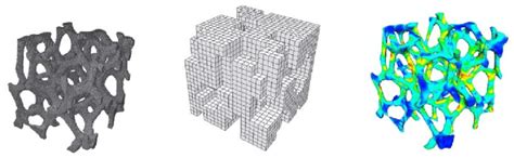 Application Of The Finite Spectral Cell Method Scm Computer Download Scientific Diagram