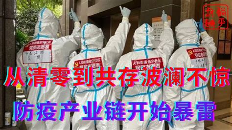 从清零到共存的切换波澜不惊防疫产业链开始连环暴雷躺平叔聊防疫 Youtube