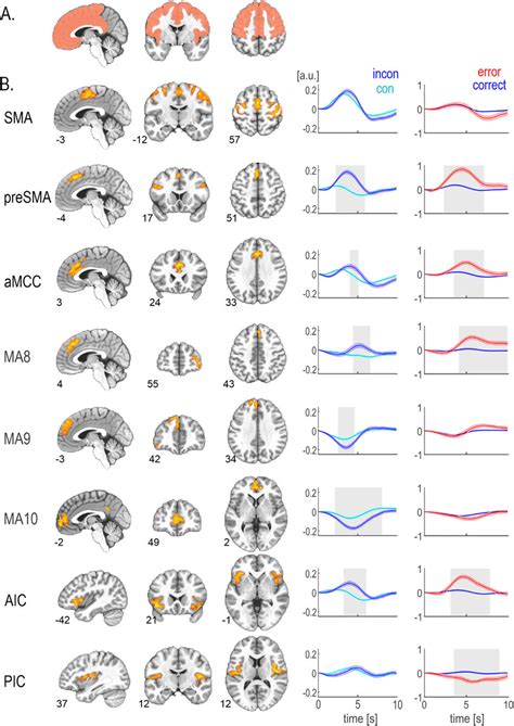 Fmri Results A Mask Covering Frontal And Insular Cortices Used In The Download Scientific