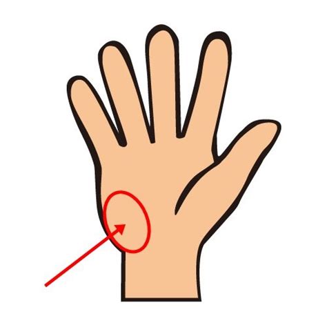 Sillyhp 請問圖中的部位叫什麼？英文書上提到「heel Of The Hand」一詞，我查了發現是圖中畫紅圈的部位。heel Of