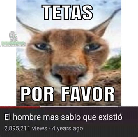 quiero tetas : r/BeelcitosMemes