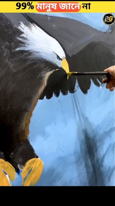 অবিশ্বাস্য কিছু আর্ট 😳🔥 Shorts Trending Shortsfeed Youtube