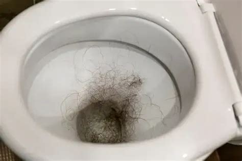 Is It Okay To Flush Pubic Hair Down The Toilet Bidet Usage