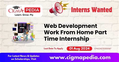 Web Development Work From Home Part Time Internship By EXCELLENTSOUND