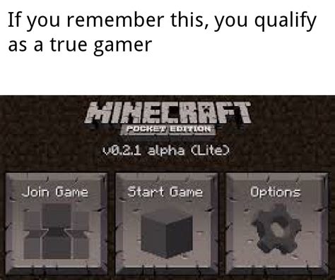 If You Didn T Play This Version Of Minecraft You Are Not A Gamer R Gatekeeping