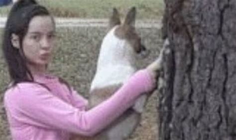 Teen 19 Had Extremely Graphic Sex With Dog In Horrific Video Us
