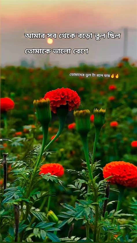 ব্যর্থ প্রেমিকের ভালোবাসা টিক বলে ছি তো😞 Instagram