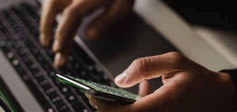 Types Of Application Software A Detailed Guide