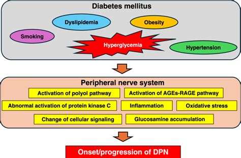 Diabetes Mellitus Complications Pathophysiology