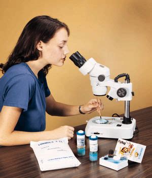 Fruit Fly Tutorial Index