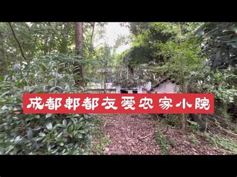 成都郫都友爱农家小院车子可以开到家门口房子前一片桂花林 YouTube