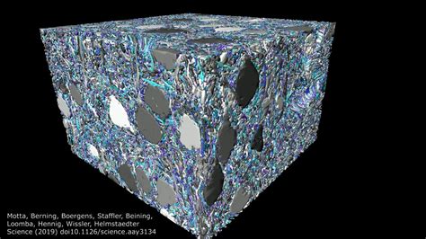 Cortical Layer 4 Connectomic Reconstruction Youtube