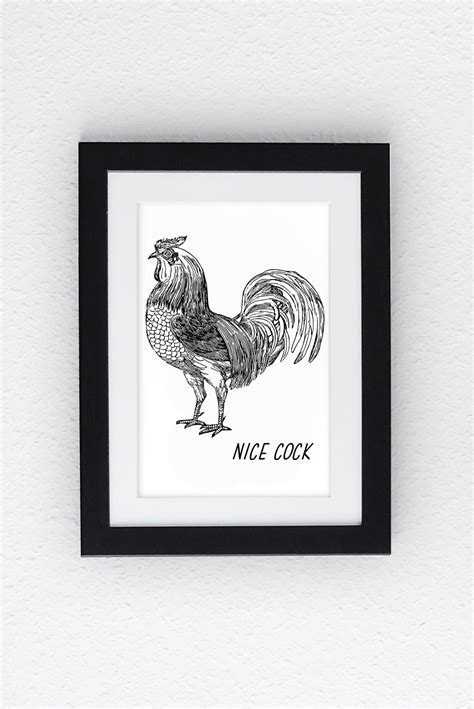 Nice Cock Illustrated Print Free Pp On All Orders Over £30