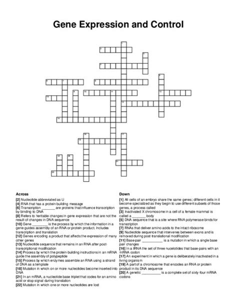Gene Expression And Control Crossword Puzzle