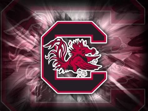 South Carolina Gamecocks Football Wallpapers Wallpapersafari
