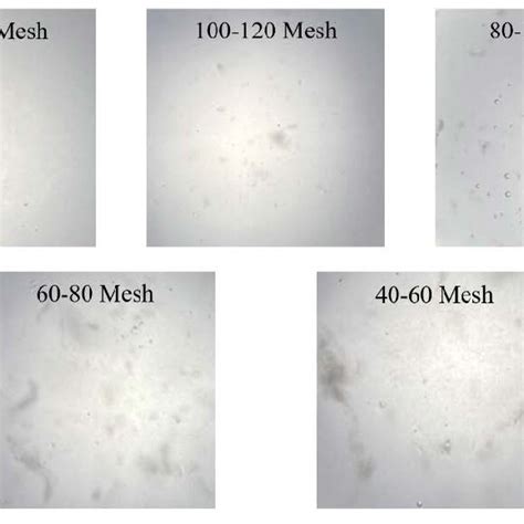 Effect Of Powder Particle Size On Emulsion Dissolution Download