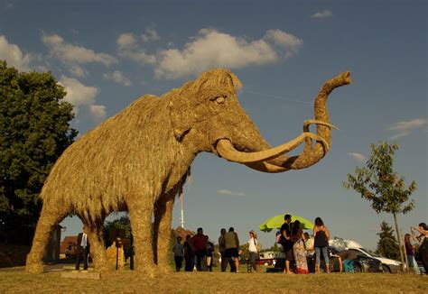 Triceratops Artofit