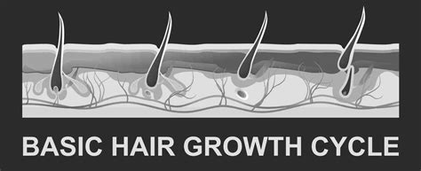 Haircare Fusion Meso