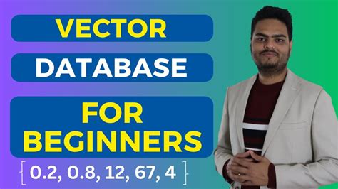 Vector Database For Beginners Vector Database Example Vector