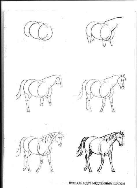 Научиться рисовать с нуля карандашом поэтапно дома 10 уроков рисования простым карандашом Уроки
