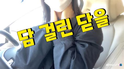 클립 목에 담이 걸려 쿠크다슬 아프리카tv Vod