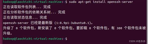 Hadoop安装和配置（ubuntu环境）ububtu安装hadoop的安装与配置 Csdn博客