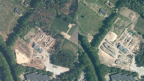 Hectare Gekapt Bos Moet Worden Herplant Al Het Nieuws Uit Brummen