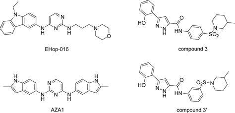 Effect Of Ehop 016 On P Falciparum Invasion And Intraerythrocytic