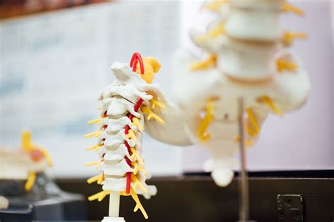 Ms And Sex How Men With Multiple Sclerosis Can Increase Sex Drive