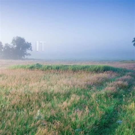 Christopher S Garguilo On Linkedin