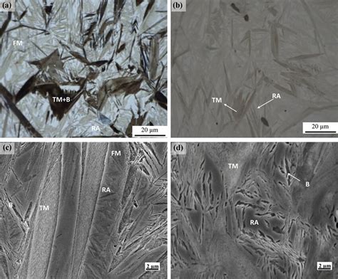 Om And Sem Micrograph Of High Si Steel Qp 250 A C Qp 350 B D