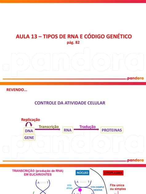 13 Tipos De Rna E Código Genético Pdf Rna Código Genético