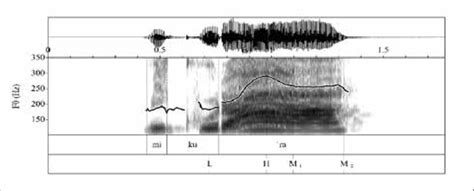Oscillogram Spectrogram F Contour Broad Phonetic Transcription And