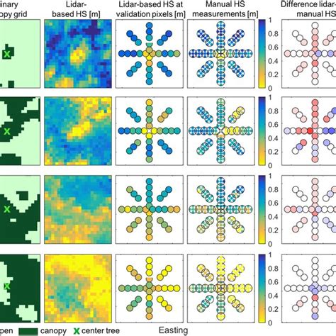 spatial patterns at four different plots featuring a a tree well