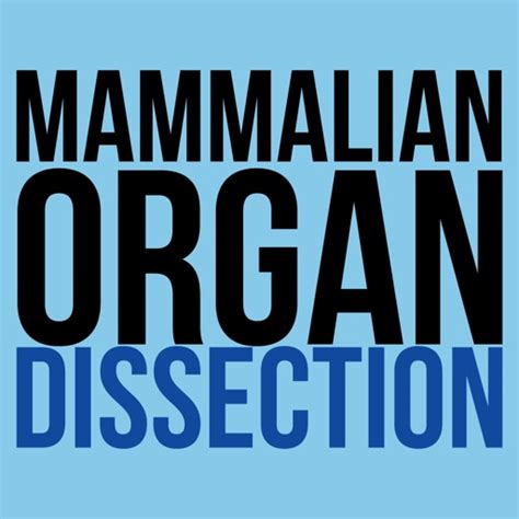 Mammalian Organ Dissection Free For Pc Windows 7 8 10 11