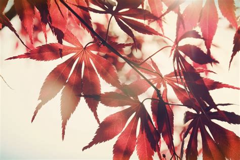 2024年哈尔滨工业大学（深圳）在广东录取分数线（附近几年最低位次排名） 大考100