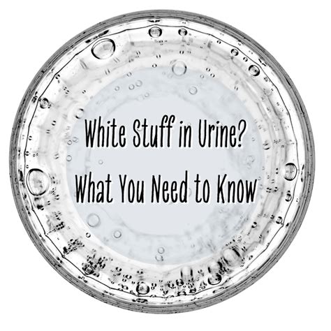 White Stuff In Urine Here S What You Should Know HubPages