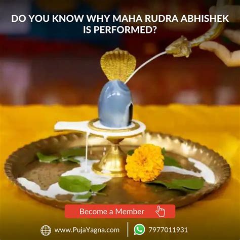 Do You Know Why Maha Rudra Abhishek Is Performed The Maha Rudrabhishek