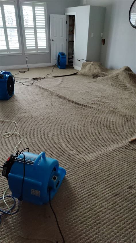 How To Clean Flooded Carpet Assessment And Restoration Best Option