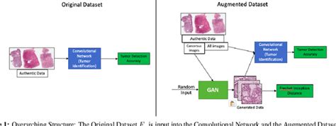 Producing Histopathology Phantom Images Using Generative Adversarial Networks To Improve Tumor
