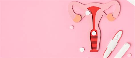 Urine Routine Plus Culture Proactive For Her