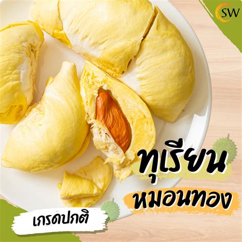 ทุเรียนหมอนทองเกรดปกติ Line Shopping