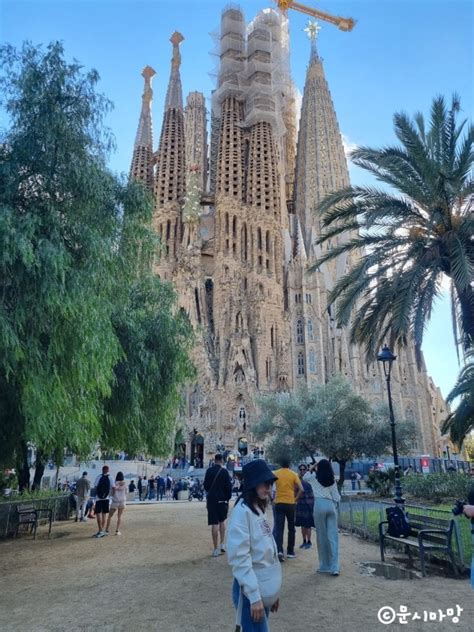 스페인 바르셀로나 여행 사그라다 파밀리아고딕지구까사 밀라까사 바트요츄레리아 네이버 블로그