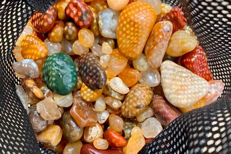 Rock Chasing Weekly Roundup 20