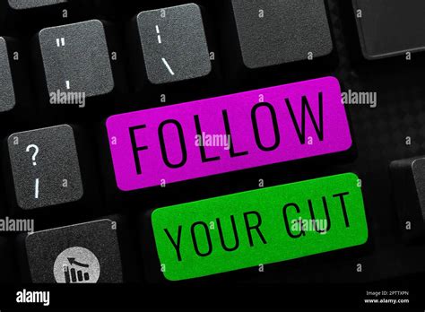 Sign Displaying Follow Your Gut Word Written On Listen To Intuition