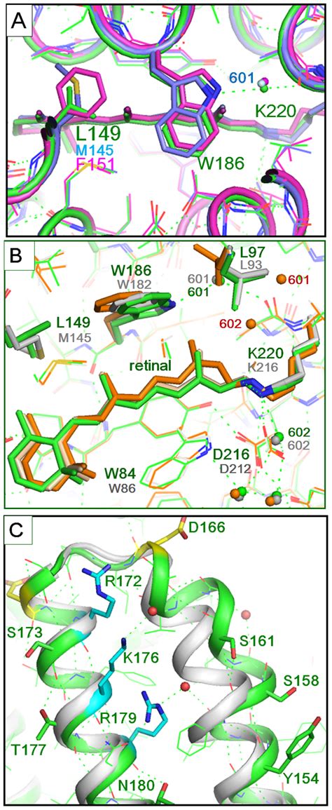 Structural Comparison Between Cr3 And Br A The Structure Of The Download Scientific Diagram