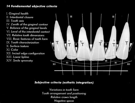Incisal Edge Of Tooth Semantic Scholar