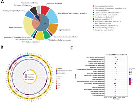 Primary And Secondary Classification A And The Top 20 Significantly