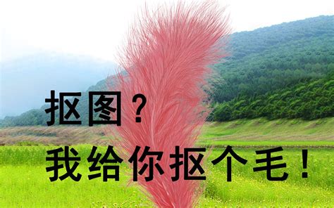 散步特辑4 Bilibilib站无水印视频解析——yiuios易柚斯
