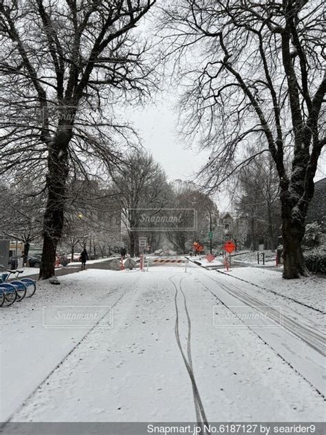雪の積もった公園の写真・画像素材 Snapmart（スナップマート）